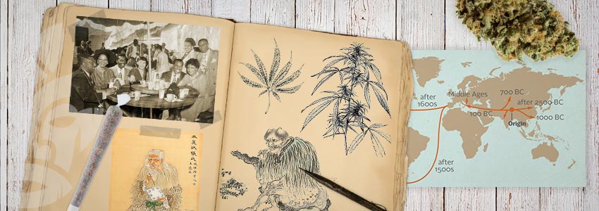 How Cannabis Spread Throughout The World - Zativo